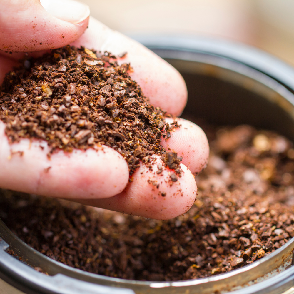 Are Coffee Grounds Good For Your Garden? | Oxford Garden Design